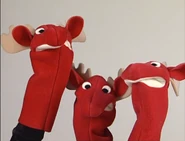 Morris Moose | The True Baby Einstein Wiki | Fandom