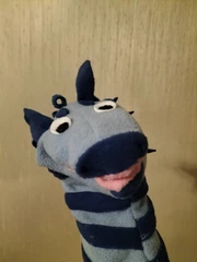 Seasons Zebras | The True Baby Einstein Wiki | Fandom