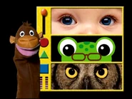 Baby da Vinci the Monkey | The True Baby Einstein Wiki | Fandom
