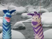 Seasons Zebras | The True Baby Einstein Wiki | Fandom