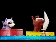 Raccoon | The True Baby Einstein Wiki | Fandom