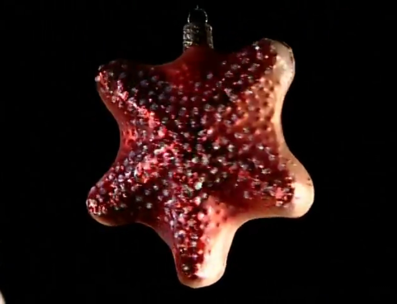 Starfish Ornament | The True Baby Einstein Wiki | Fandom
