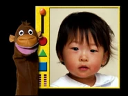 Baby da Vinci the Monkey | The True Baby Einstein Wiki | Fandom