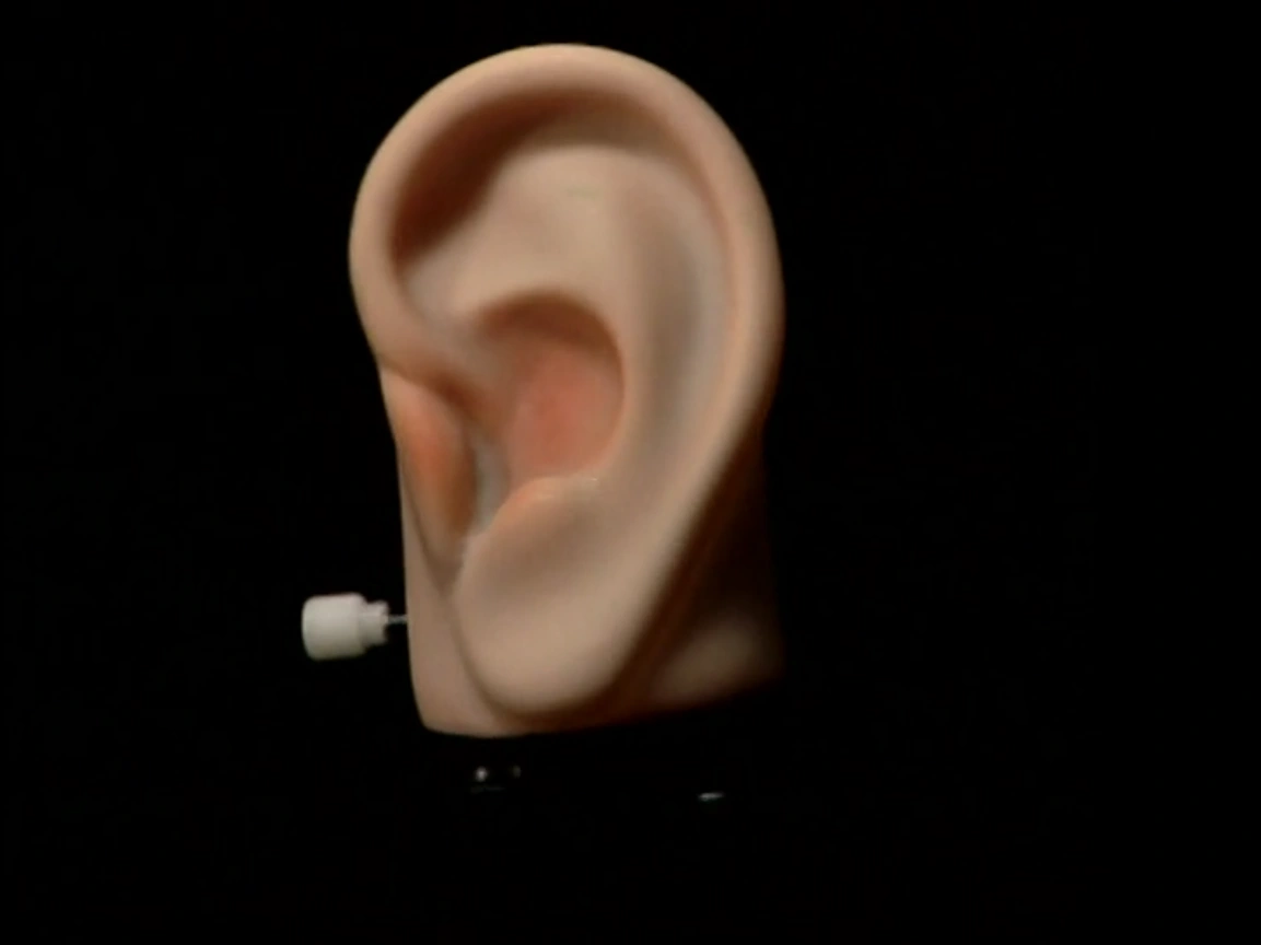 Wind-Up Ear | The True Baby Einstein Wiki | Fandom