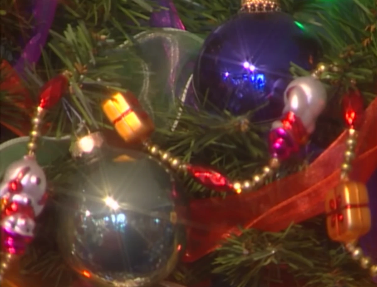 Snow Gift Garland | The True Baby Einstein Wiki | Fandom