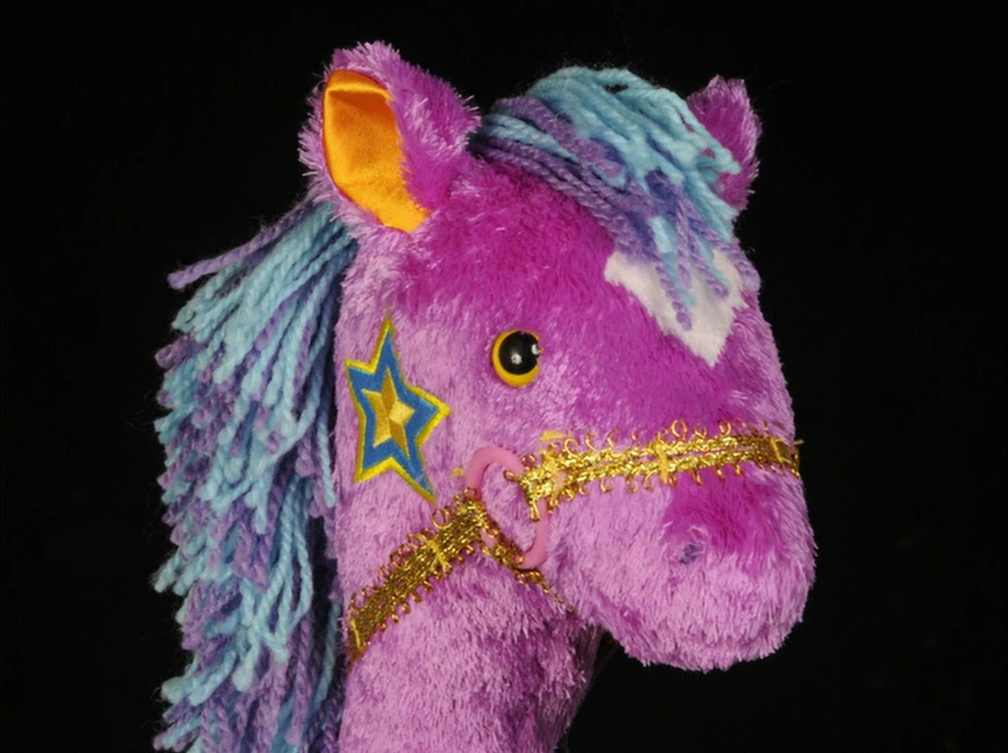 Fancy Prayer Precious Pony | The True Baby Einstein Wiki | Fandom