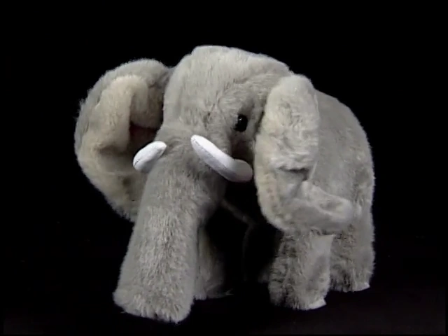 Bongo Elephant | The True Baby Einstein Wiki | Fandom