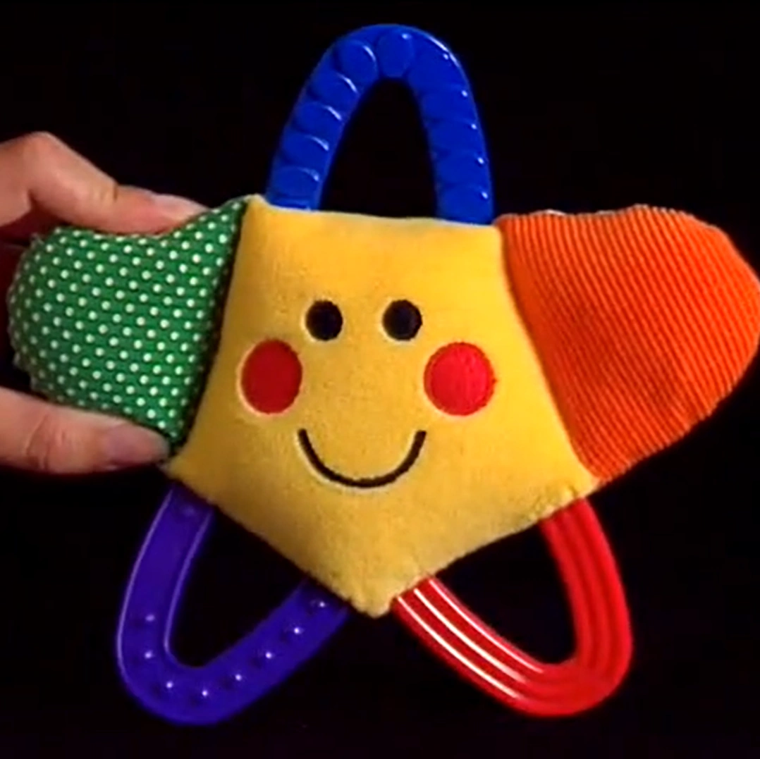 Category:Echinoderms | The True Baby Einstein Wiki | Fandom