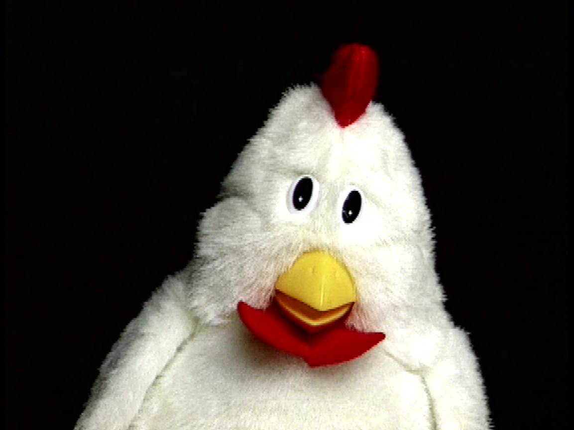 Cornelius the Dancing Chicken | The True Baby Einstein Wiki | Fandom