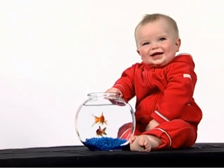 Samuel Westen/Gallery | The True Baby Einstein Wiki | Fandom