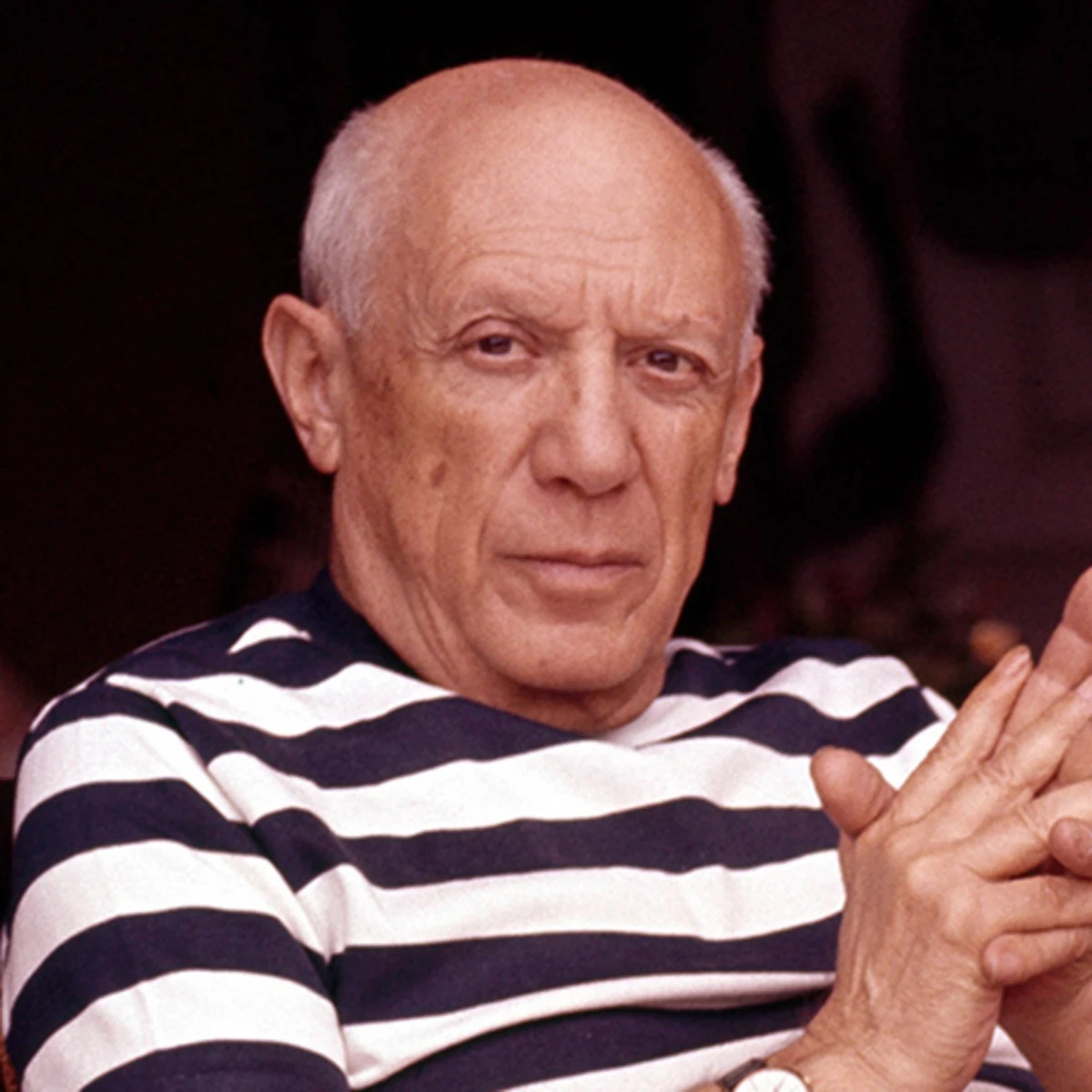 Pablo Picasso | The True Baby Einstein Wiki | Fandom