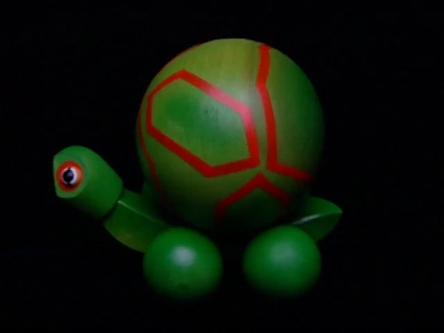 Large Rolling Turtle | The True Baby Einstein Wiki | Fandom