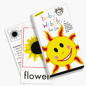 Baby Webster Flash Cards | The True Baby Einstein Wiki | Fandom