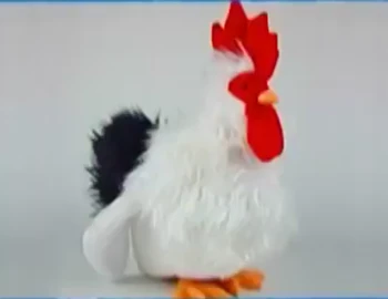 Chicken (Baby Webster) | The True Baby Einstein Wiki | Fandom
