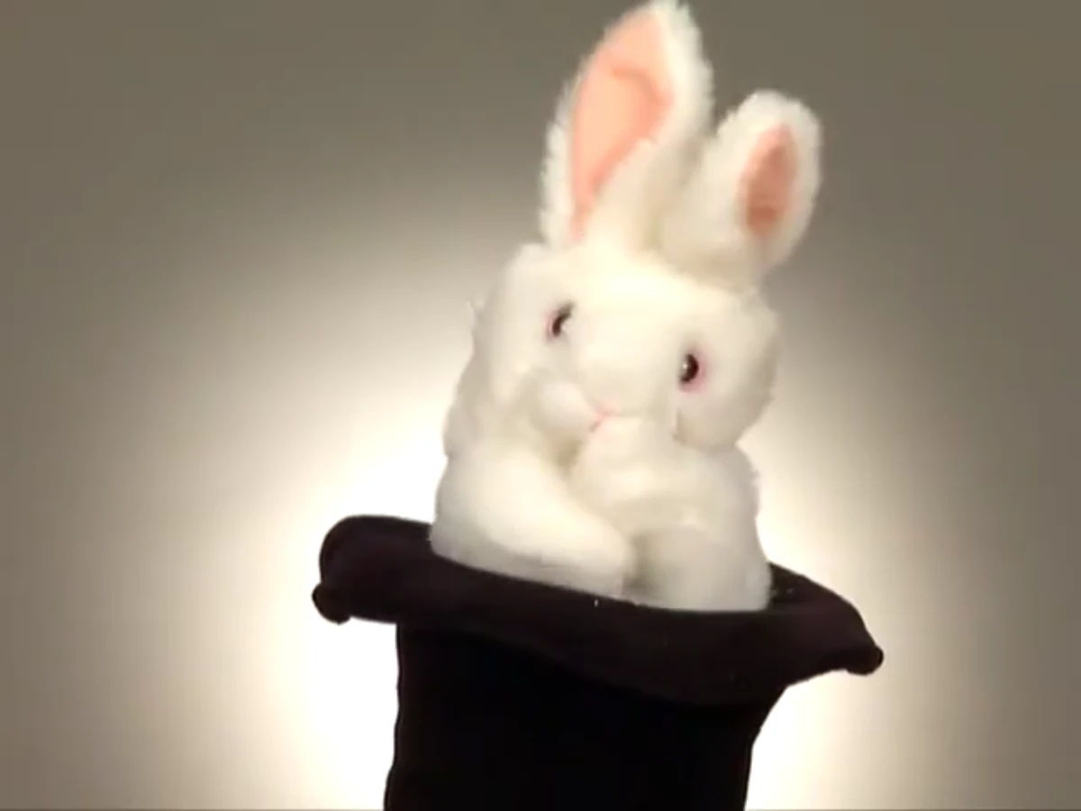 Rabbit in Hat Puppet | The True Baby Einstein Wiki | Fandom