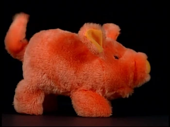 Mr. Bacon | The True Baby Einstein Wiki | Fandom