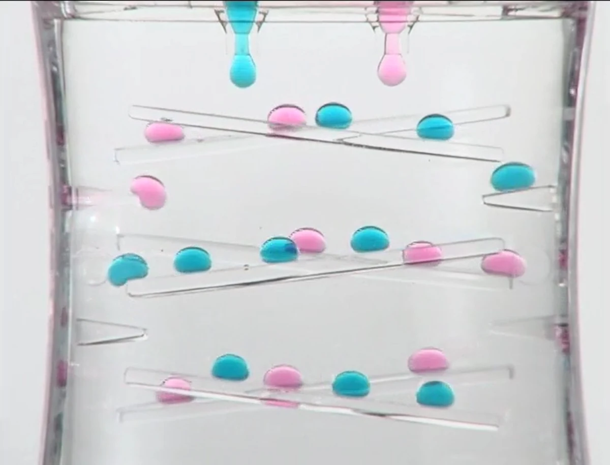 Cascade Timer | The True Baby Einstein Wiki | Fandom