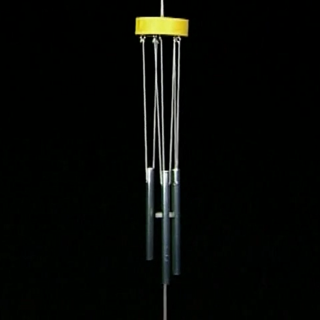 Discuss Everything About The True Baby Einstein Wiki | Fandom