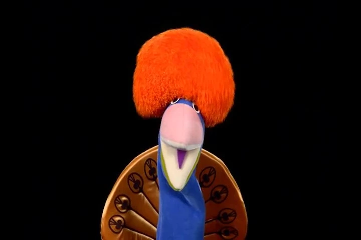 Peacock | The True Baby Einstein Wiki | Fandom