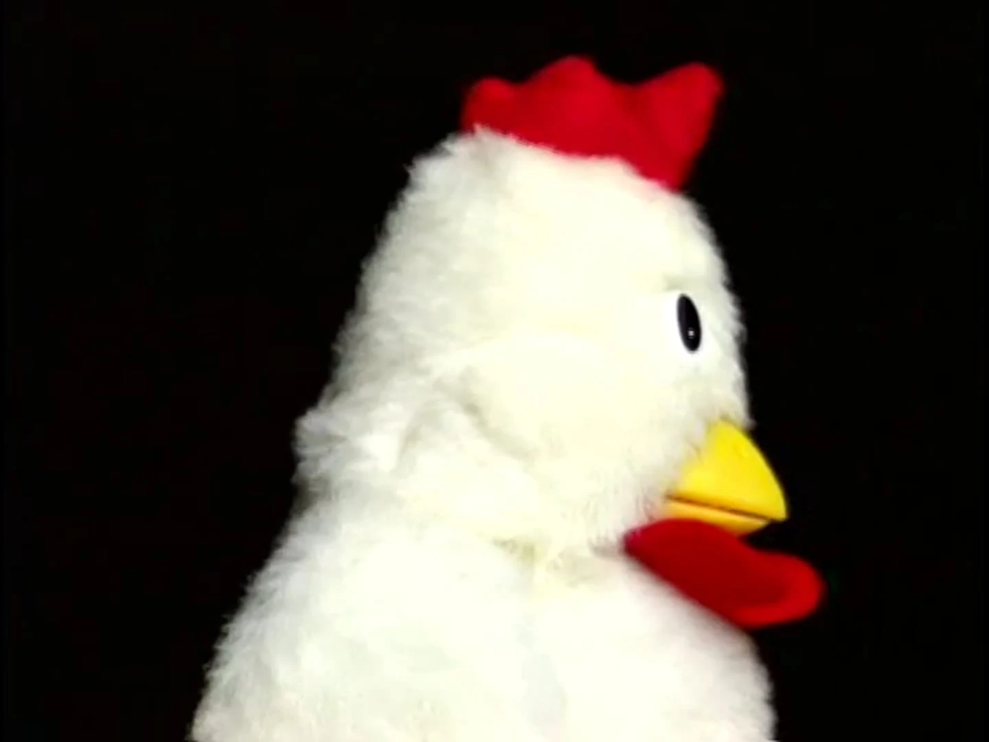 Dancing Chicken Baby Bach