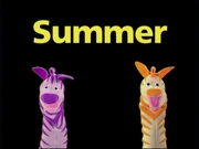 Seasons Zebras | The True Baby Einstein Wiki | Fandom