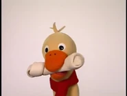 Duck | The True Baby Einstein Wiki | Fandom