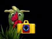 Focus Pocus Camera | The True Baby Einstein Wiki | Fandom