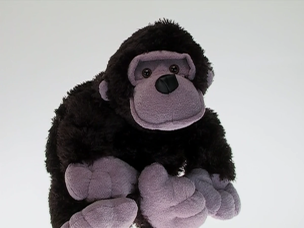 Large Floppy Monkey | The True Baby Einstein Wiki | Fandom