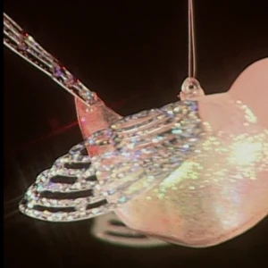 Discuss Everything About The True Baby Einstein Wiki | Fandom