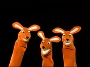 Baby Bach the Bunny | The True Baby Einstein Wiki | Fandom