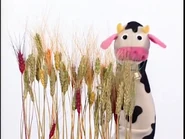 Baby MacDonald the Cow | The True Baby Einstein Wiki | Fandom