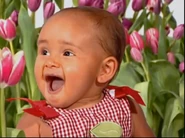 Baby Monet/Gallery | The True Baby Einstein Wiki | Fandom