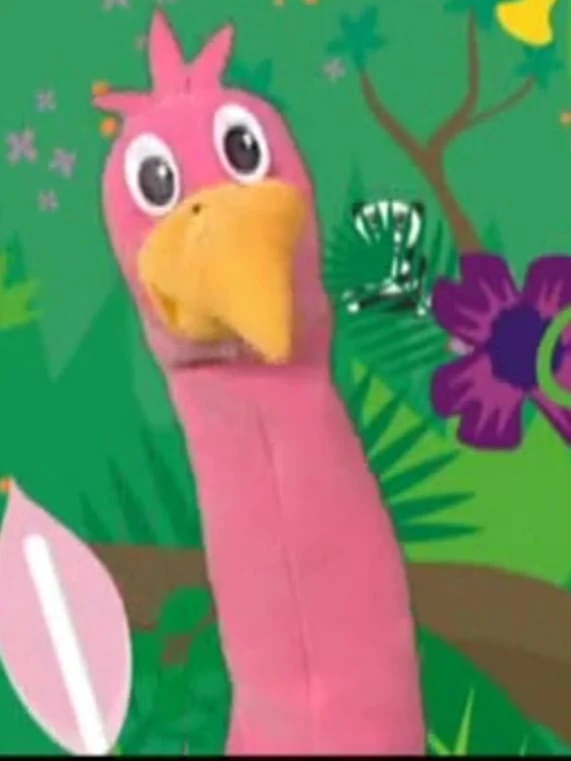 Flamingo | The True Baby Einstein Wiki | Fandom