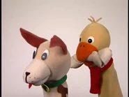 Duck | The True Baby Einstein Wiki | Fandom