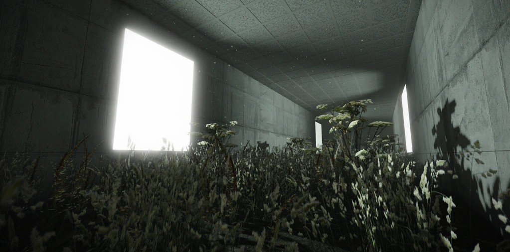 Natura | The True Backrooms Wiki | Fandom