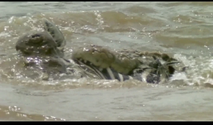 Crocodile | The truth about Killer Dinosaurs Wiki | Fandom