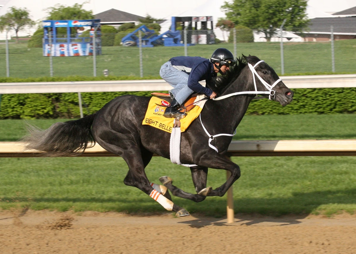 Eight Belles | The Truth About the Kentucky Derby Wiki | Fandom
