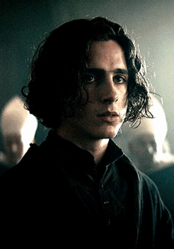 Regulus Black | The Truth Behind Aurora Wiki | Fandom