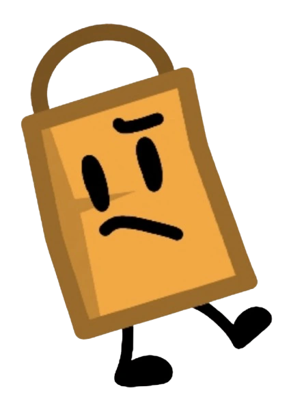 Bag | The TSB Wiki | Fandom