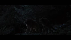 Shape-Shifter | The Twilight Saga Fanon Wikia | Fandom