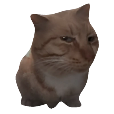 Mr. Fresh (Meow.Camera) | The Ultimate cat Wiki | Fandom