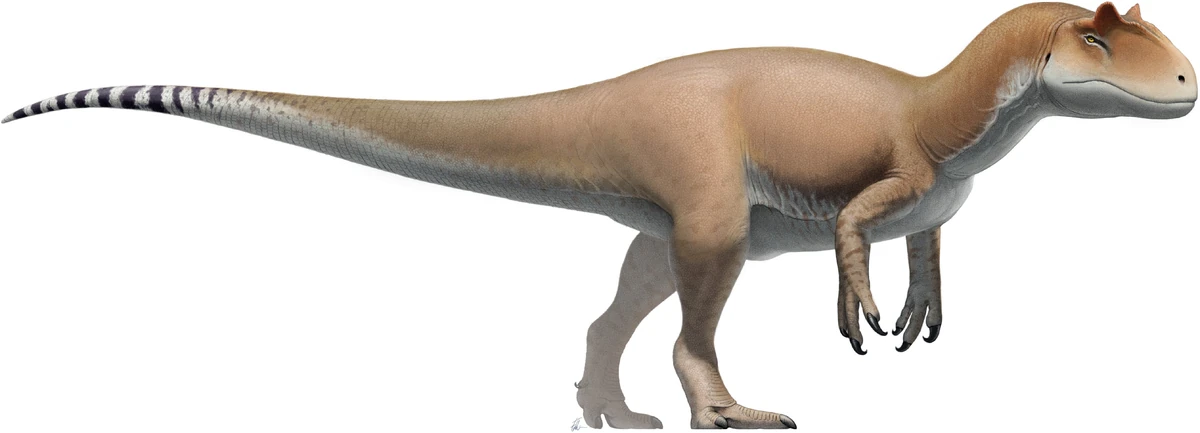 Allosaurus | The Ultimate Crossover Wiki | Fandom