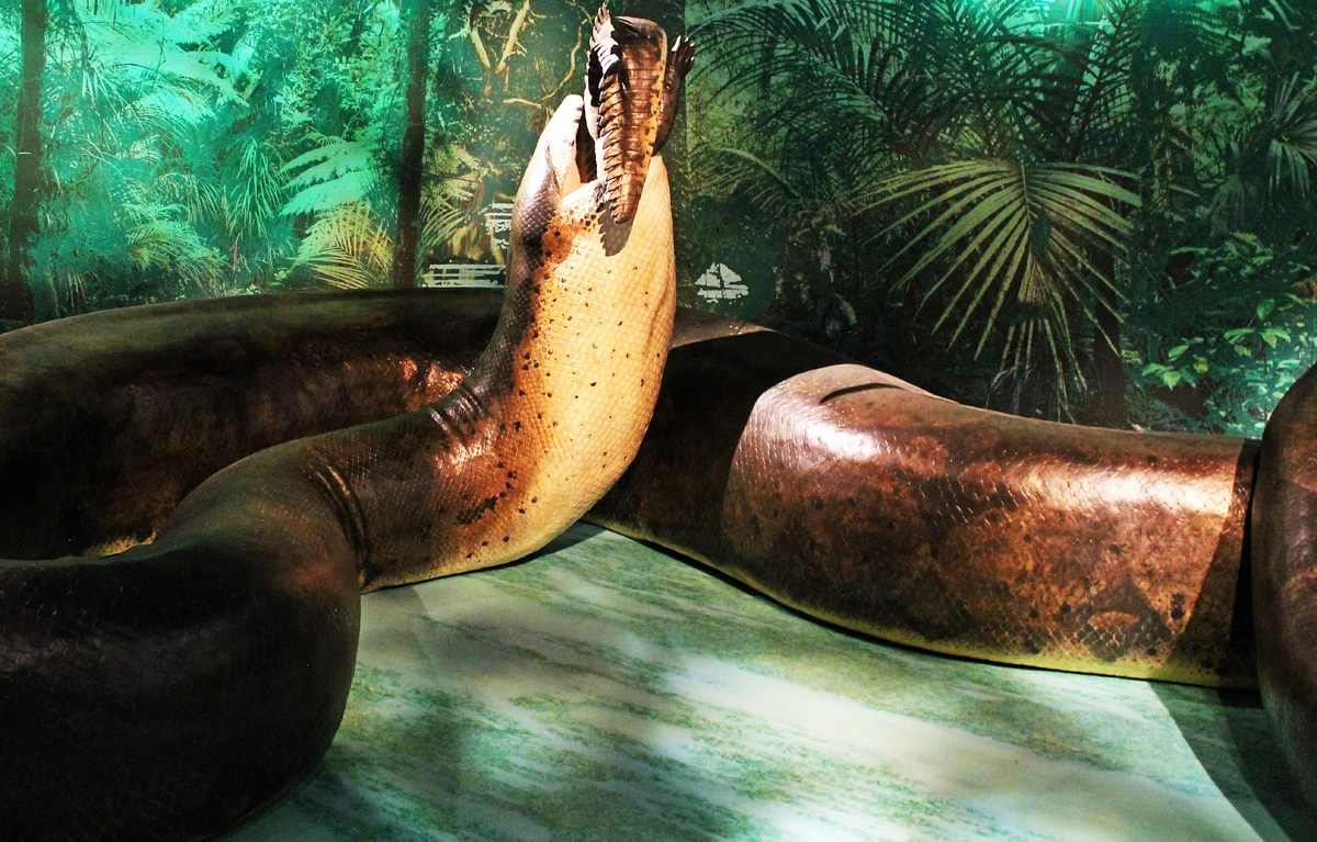 Titanoboa | The Ultimate Crossover Wiki | Fandom