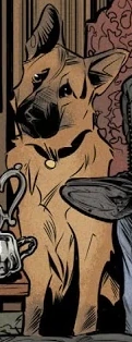 Ace the Bat-Hound | The Ultimate Crossover Wiki | Fandom