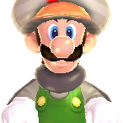 P Acorn Luigi