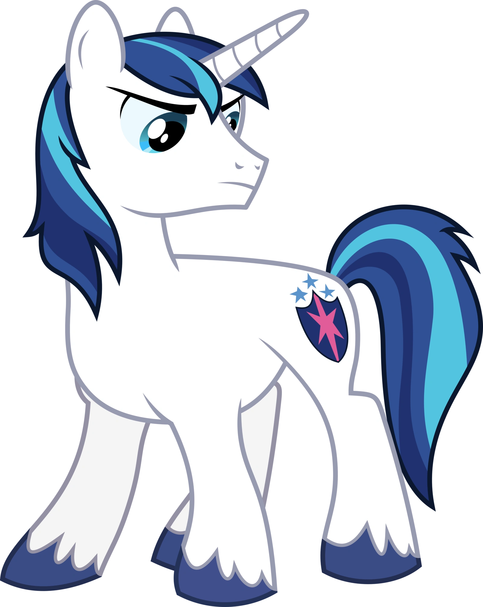 Princess Cadence And Shining Armor Vector