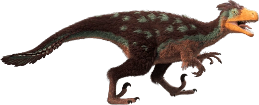 Dromaeosaurus | The Ultimate Dinopedia Wiki | Fandom