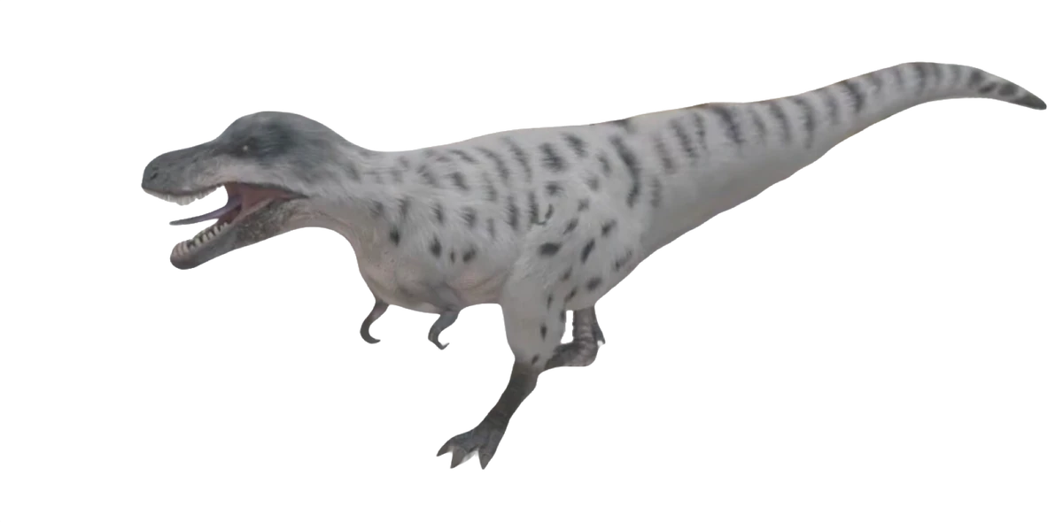 Nanuqsaurus | The Ultimate Dinopedia Wiki | Fandom