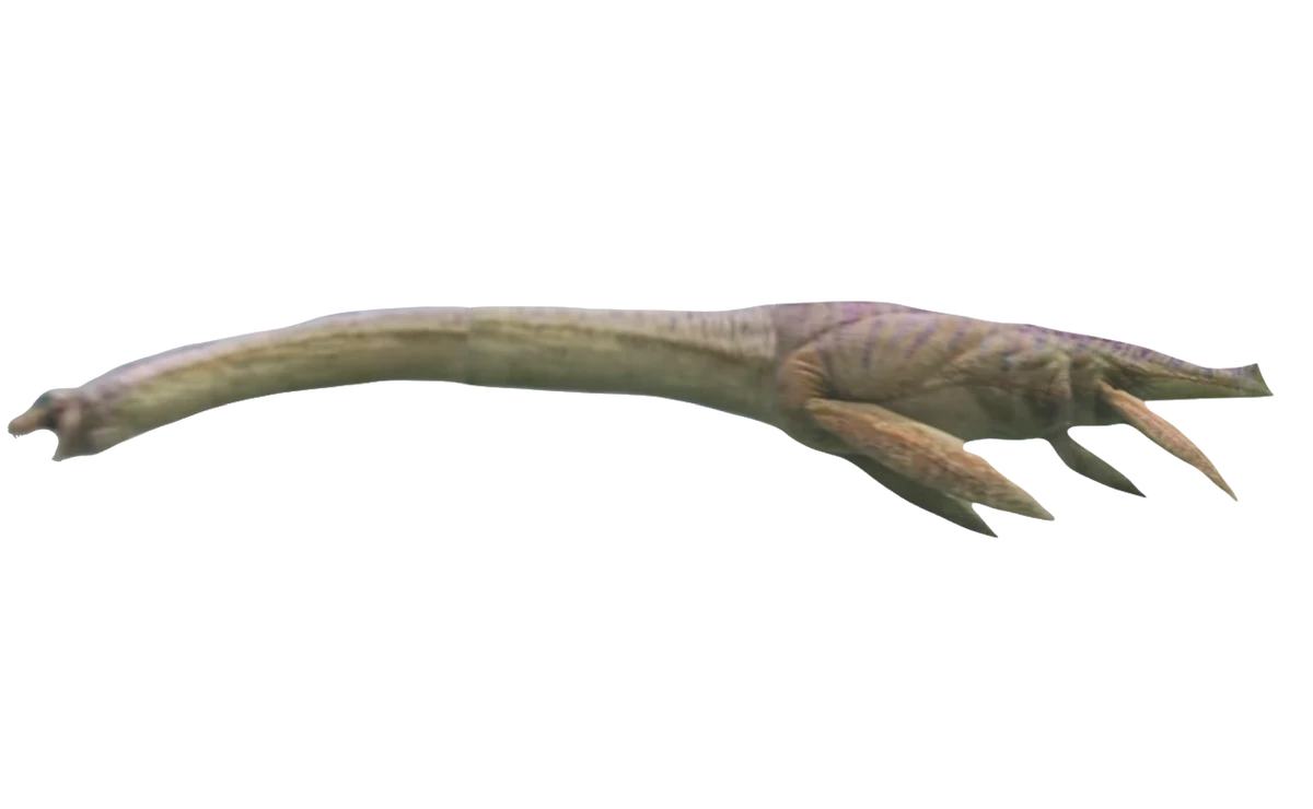 Albertonectes | The Ultimate Dinopedia Wiki | Fandom