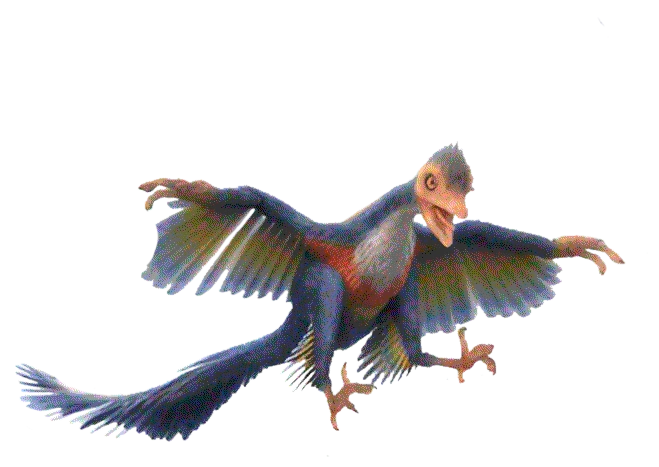 Microraptor | The Ultimate Dinopedia Wiki | Fandom